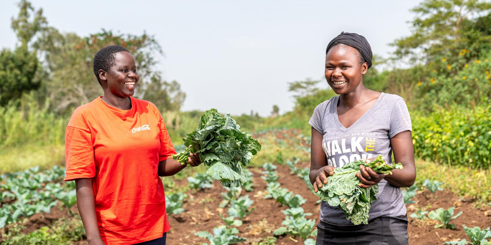 2022: The year in review | VSO