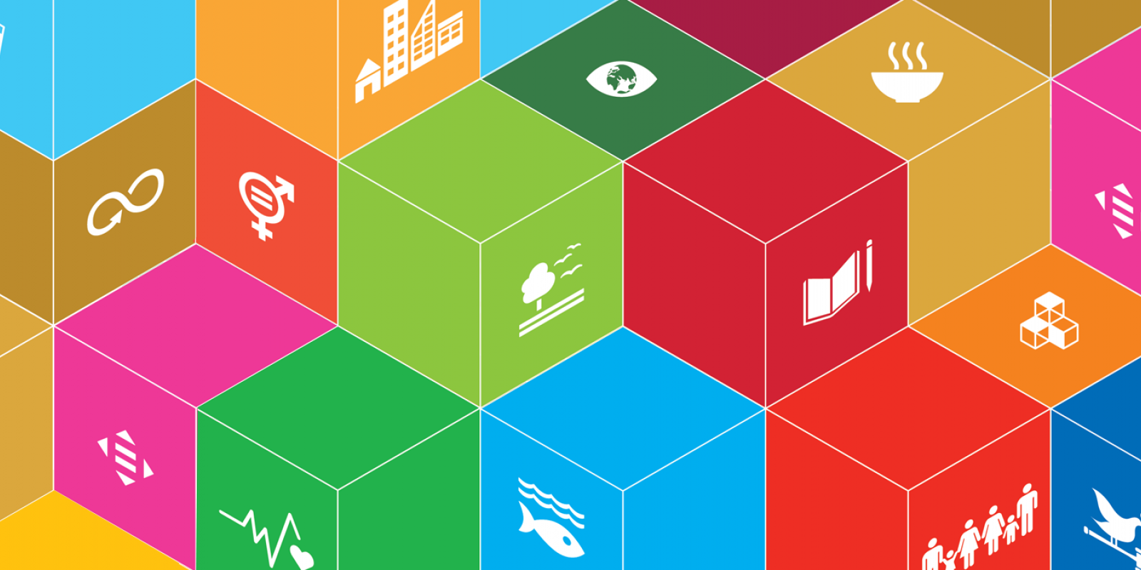 Eight years on, are we on track to achieve the SDGs? | VSO