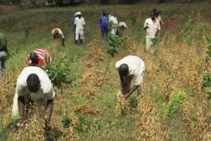 The food revolution that could transform life behind bars | VSO