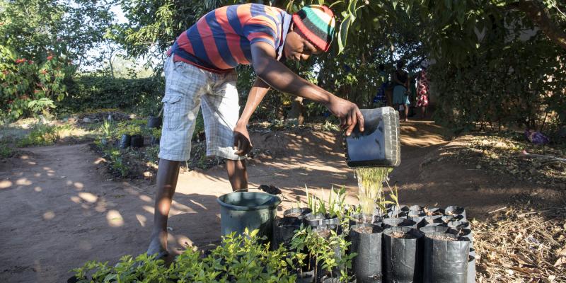 The food revolution that could transform life behind bars | VSO